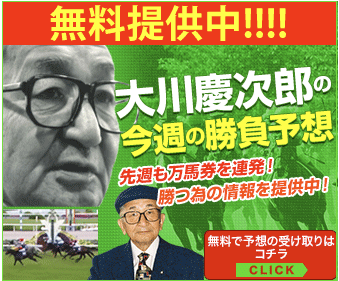 【競馬入門】POGとは？遊び方とPOG馬の選び方を解説！おすすめのサイトも紹介 - Dr.タケの競馬攻略サイト